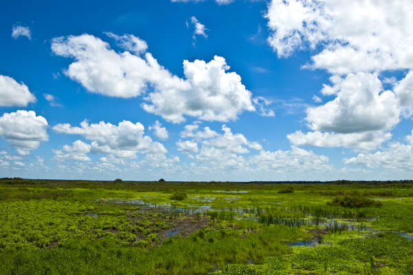 North American Nature Photography - RichLeighton.com